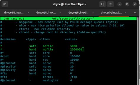Fixing The “too Many Open Files” Error In Linux