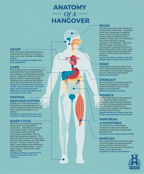 Carb Hangover Symptoms At Hannah Rowlandson Blog