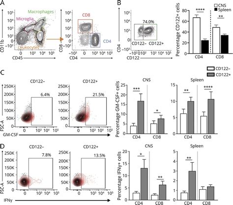 Interleukin 15 Enhances Proinflammatory T Cell Responses In Patients