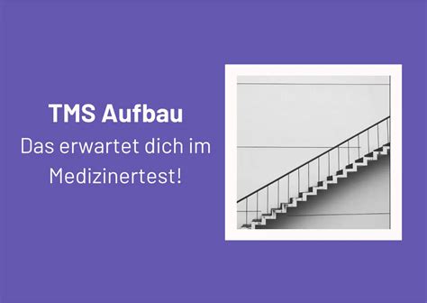 Tms Aufbau Einfach Erklärt Das Erwartet Dich Im Medizinertest 2025