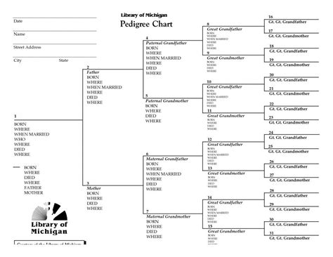 Printable Template Fill In Template Pedigree Chart Free Printable Charts