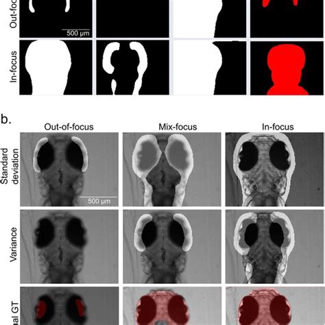 The End To End In Focus Segmentation Model Using Deep Neural Network
