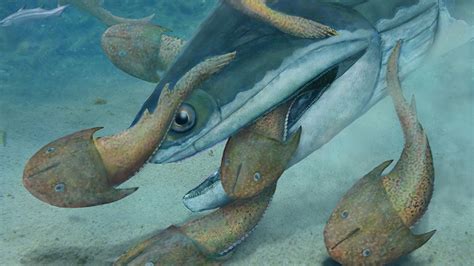 All Youd Ever Need To Know About The Devonian Period