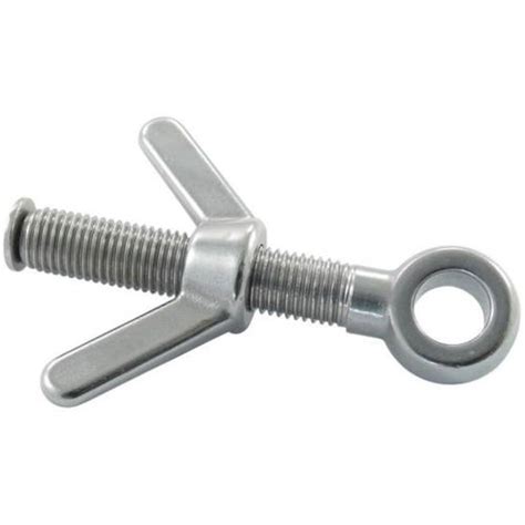Rvs Oogbout M12 112mm Met Vleugelmoer Snel In Huis