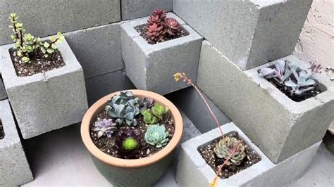 22 DIY Cinder Block Planter Ideas You Can Make