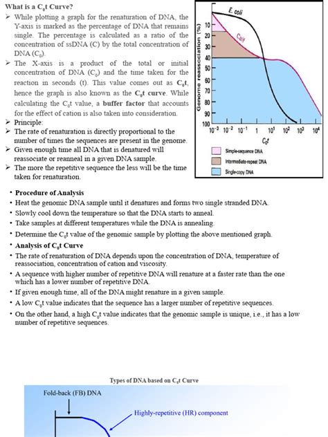 Cot Curve Factors Affecting Types Of Dna Based On Cot Curve Chemical Reactions Pdf Dna