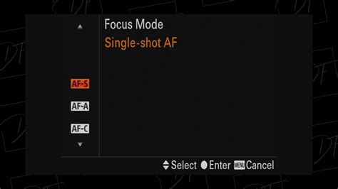 Stop Missing Focus With Back Button Focus Dan Fox Photographer Videographer YouTuber
