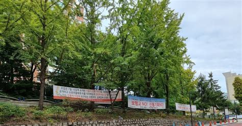 “1대1 재건축 공약 지켜라” 신통기획 반대 의견도[압구정의 귀환③]