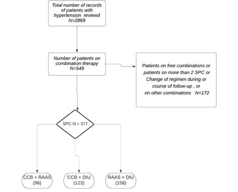 Flowchart Of Participant Recruitment CCB Calcium Channel Blockers DIU Download Scientific
