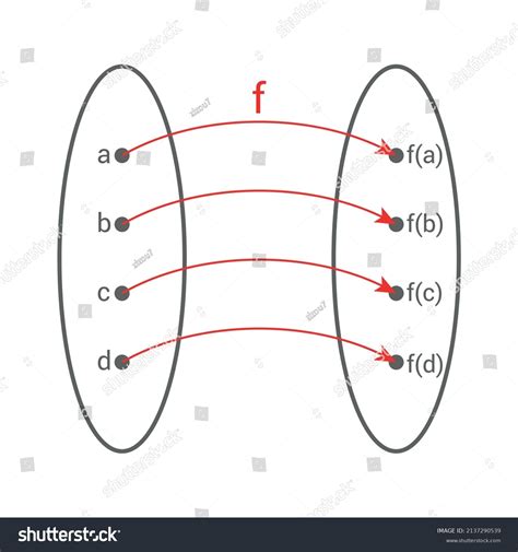 Diagrama de funciones bijetivas en matemáticas vector de stock libre