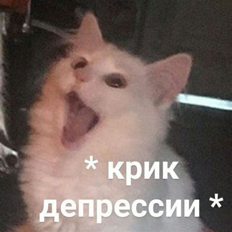 Postman Postman Api Network