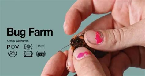 Bug Farm Wnw