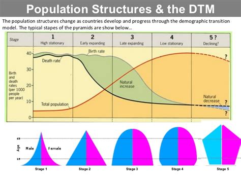 Demographic Transition Theory Public Health Notes
