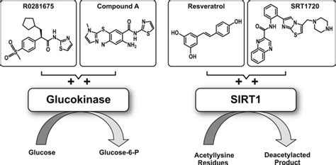 Sex Linked Biology Simple