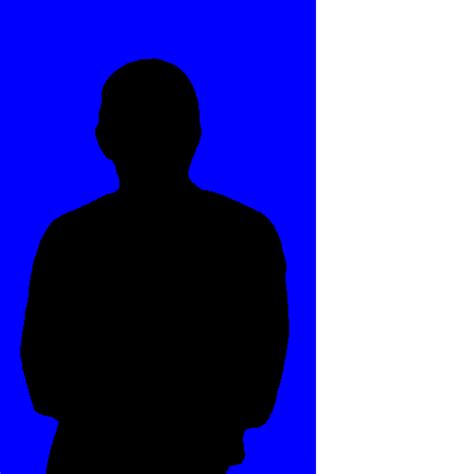 C Highqualitybicubic Interpolation Adds Black Background During