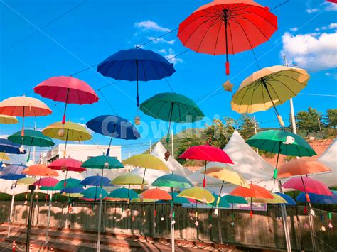 우산 풍경 감성 알록달록 우산장식 사진 이미지 일러스트 캘리그라피 옹별작가