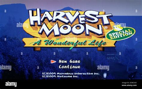 Harvest Moon A Wonderful Life Map