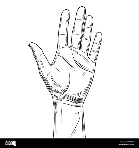 Open Hands Drawings