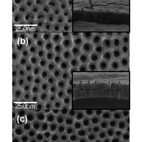 Morphology Of The TiO 2 Nanotube Array NTA With Respect To Download Scientific Diagram