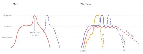 What Is The Refractory Period Dr Dicks Sex Advice