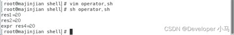 Linux【实操篇】—— Shell 编程入门、变量、运算符、条件判断、流程控制linux Shell编程 Csdn博客