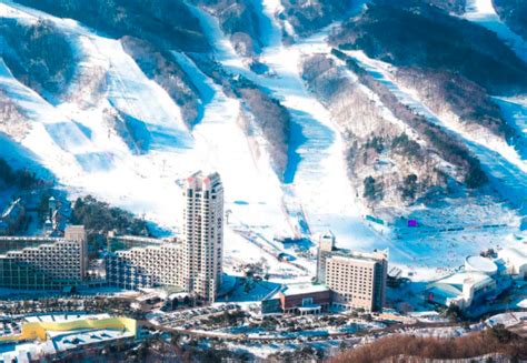 강원도 스키장 리조트 겨울 여행 인기 호텔 추천 순위 Best 5 로띠스마