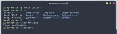 Командная строка Linux работа с файлами команды Touch Mkdir Cp Mv