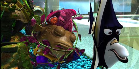 13 Things You Didnt Know About Finding Nemo
