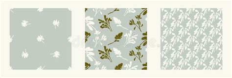 Modern Botanical Minimal Wildflower Vector Pattern Collection Summer Gender Neutral Pressed