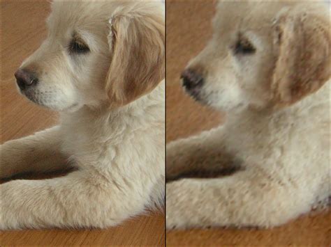 Pyvista Imagedatafilters Resample — Pyvista 0 46 0 Documentation