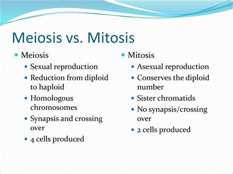 Meiosis And Sexual Life Cycles Ppt Download