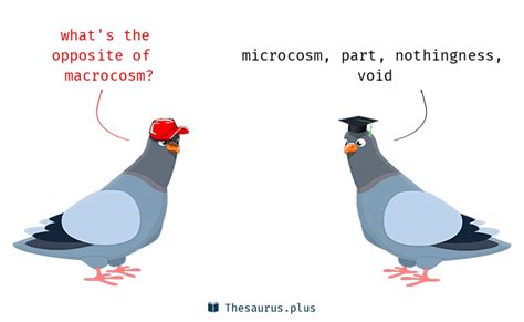 Words Microcosm And Macrocosm Are Semantically Related Or Have Opposite Meaning