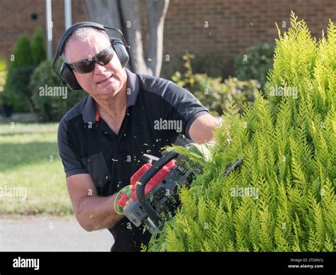 A Gardener Uses A Hedge Trimmer To Trim A Green Bushhe Wears Ear