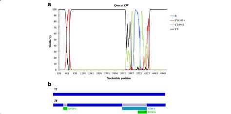 recombination analysis using simplot 3 5 1 and rdp 3 4 1 a similarity