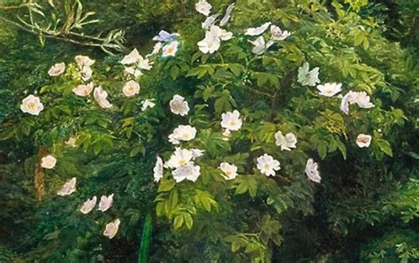 奥菲莉亚是《哈姆雷特》中的角色更是一幅世界名画 百科ta说