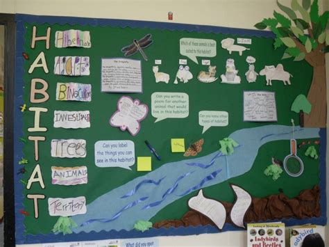 12 Ipc Im Alive Ideas Science Classroom Classroom Displays