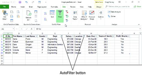 How To Use Autofilter In Excel 2019 Dummies
