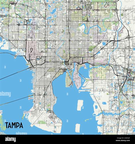 Tampa Florida USA Map Poster Art Stock Vector Image Art Alamy