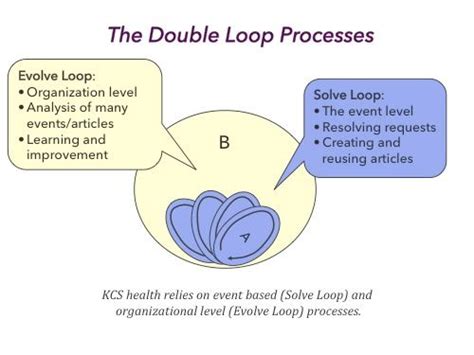 The Double Loop Process Consortium For Service Innovation Solving Analysis Learning