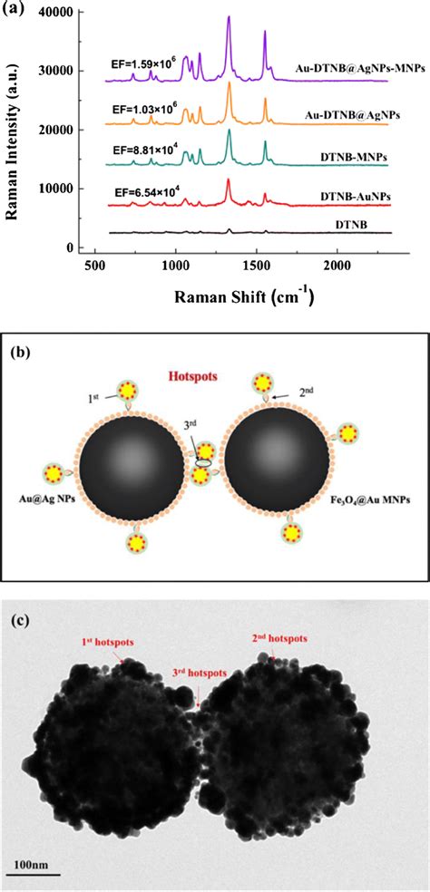 A Raman Signals Of Dtnb Dtnb Enhanced By Au Nps Dtnb Enhanced By Download Scientific Diagram