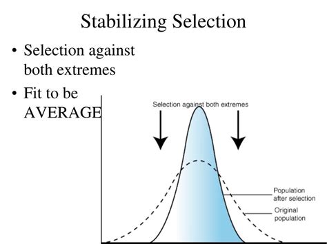 What Is A Stabilizing Selection Graph At Karen Medina Blog