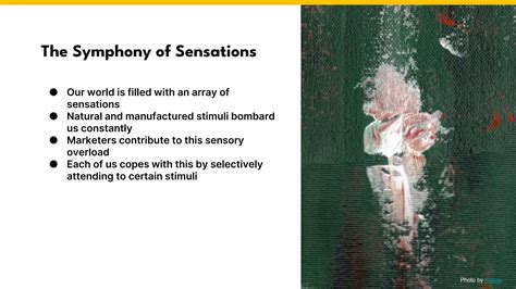 Consumer Behavior Perception Final Presentationpptx