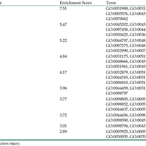 Go Terms Clustering In Drg After Pni Or Cci Go Term Enrichment