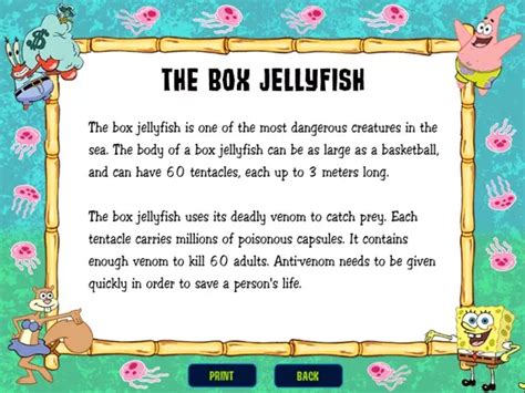 Spongebob Squarepants Typing Screenshots Mobygames