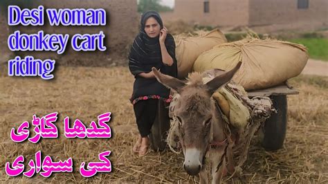 Desi Woman Donkey Cart Riding In Punjab Gadhe Ki Sawari Gaon Ki Pursakon Zindagi Youtube