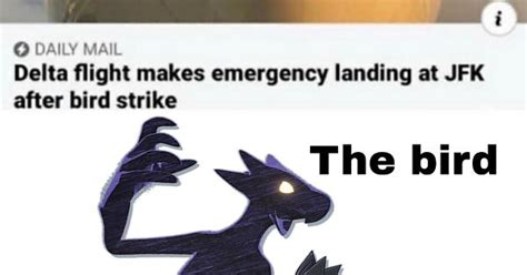 Daily Mail Imgur Daily Mail Imgur