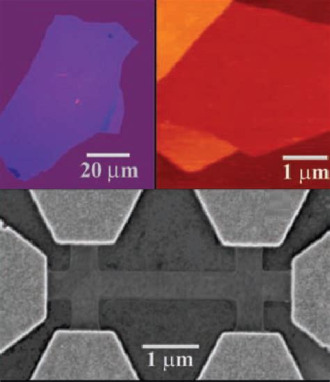 Figure 1 From Locally Probing Adatoms On Graphene Using Perturbed Angular Correlation