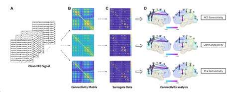 Schematic Diagram Of Brain Network Analysis A The Clean Eeg Signal Download Scientific