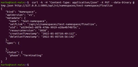 How To Delete A Kubernetes Namespace Standard Force Removal