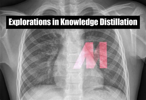 Explorations In Knowledge Distillation Mage Blog